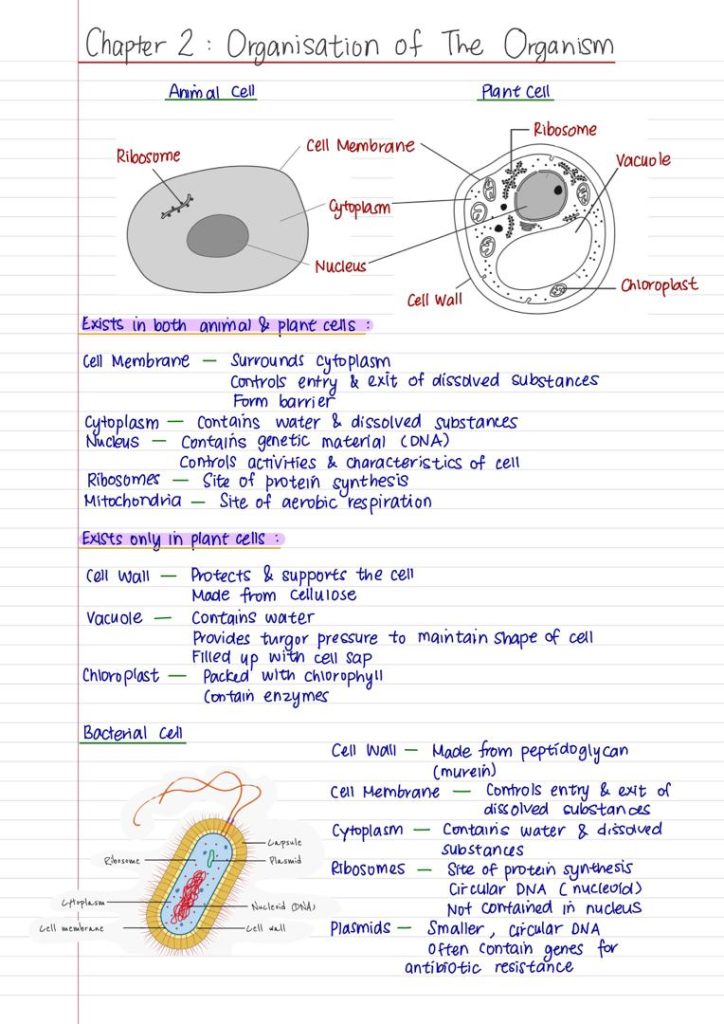 Comprehensive Revision Guide – Cambridge IGCSE Biology 0970 & 0610 ...
