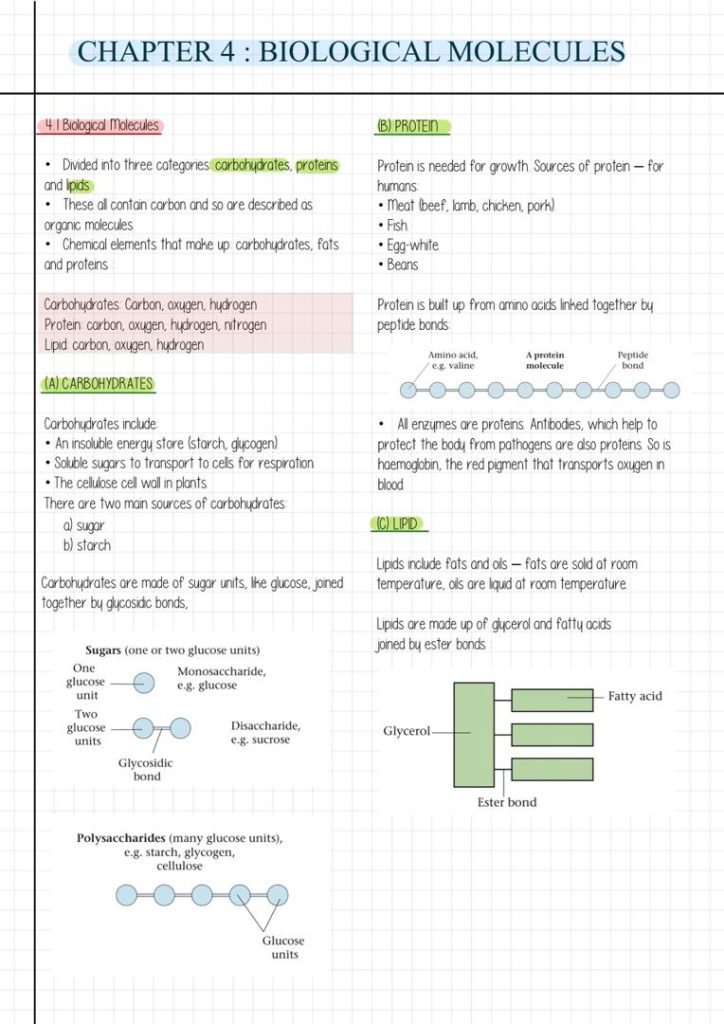 Comprehensive Revision Guide – Cambridge IGCSE Biology 0970 & 0610 ...