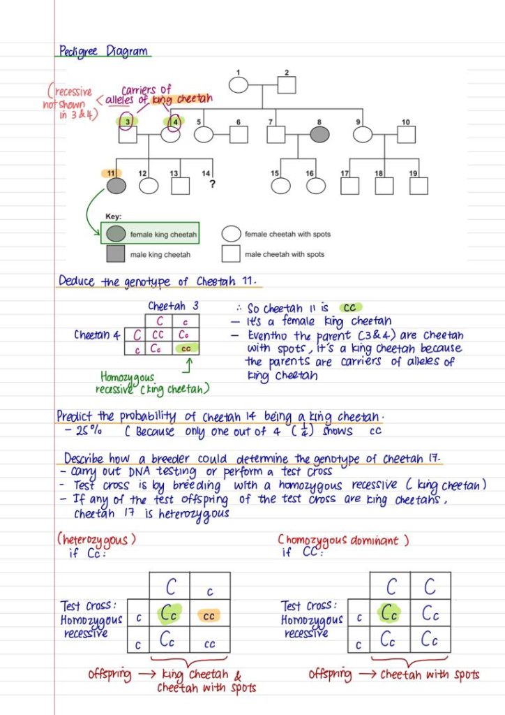 Comprehensive Revision Guide – Cambridge IGCSE Biology 0970 & 0610 ...